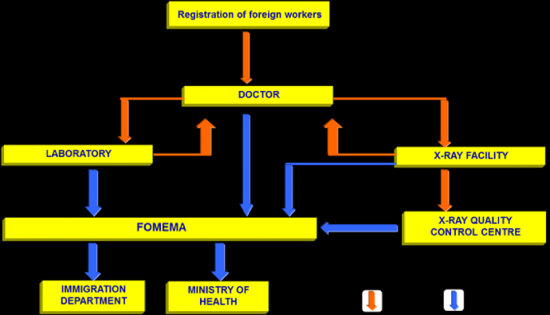 Our Services | REMEDIC